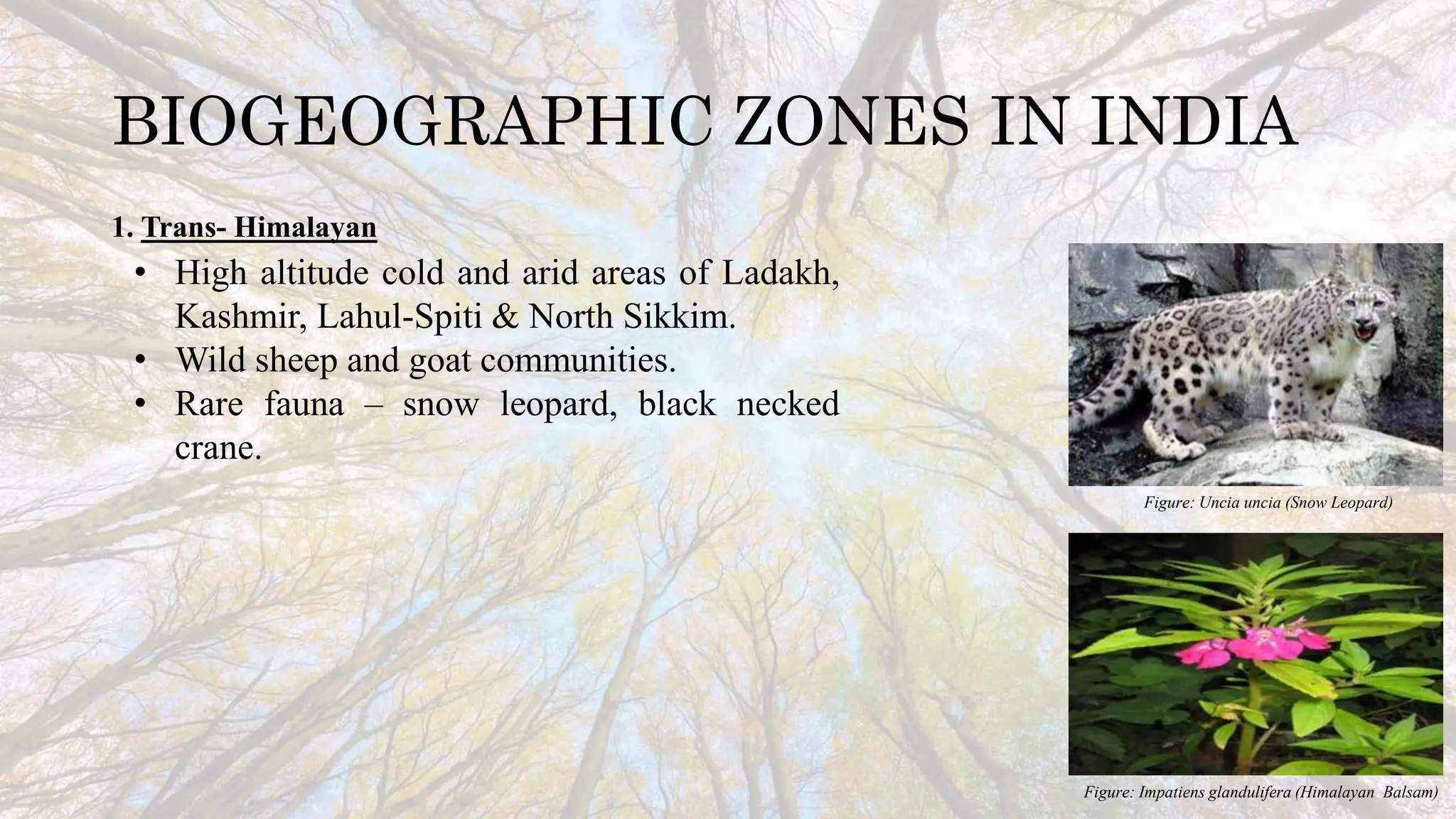 THE BIOGEOGRAPHIC ZONES OF INDIA..ppttxx | PPTX