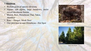 THE BIOGEOGRAPHIC ZONES OF INDIA..ppttxx | PPTX