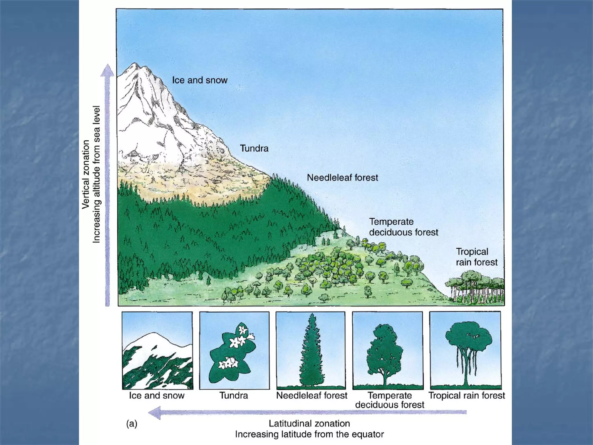 Biogeography | PDF
