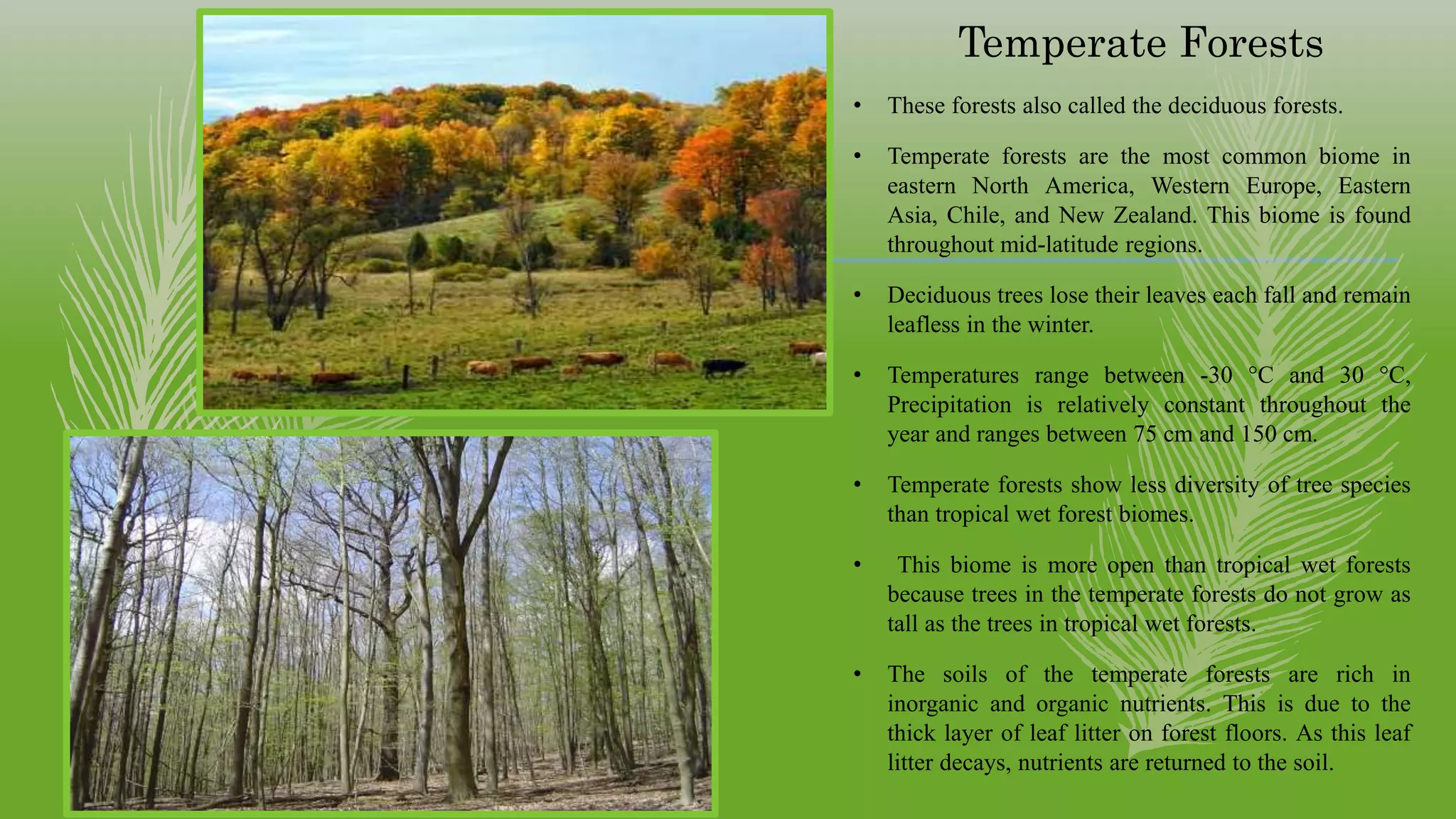 Biogeography Presentation.pptx