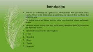 Biogeography Presentation.pptx