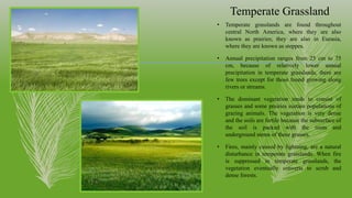 Biogeography Presentation.pptx