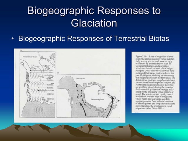 Biogeo lec 7 glaciation and the pleistocene | PPT