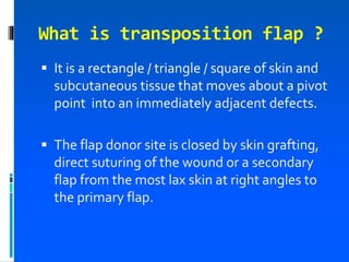 Biogeometry of transposition flap | PPTX