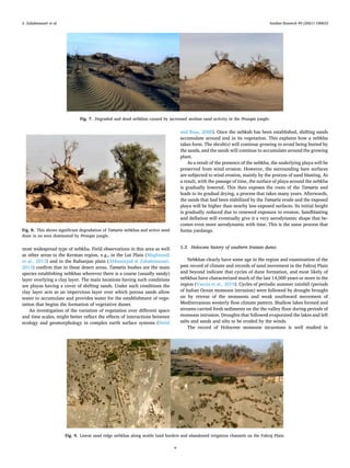 "Biogeomorphology of Mega Nebkha in the Fahraj Plain, Iran: Sensitive ...