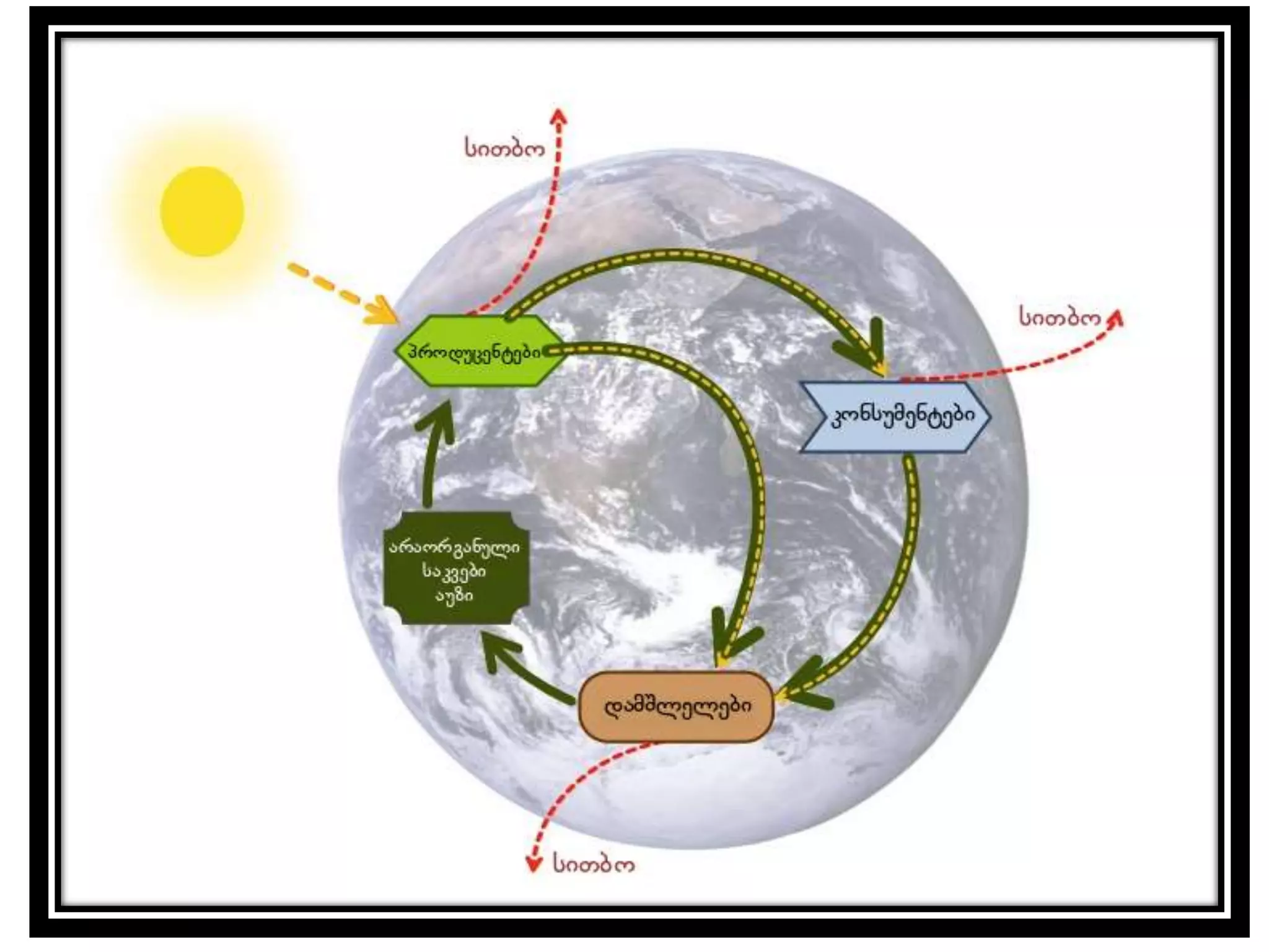Biogeoqimiuri cikli | PPTX