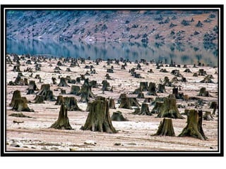 Biogeoqimiuri cikli | PPTX