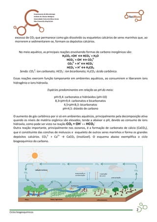 Biogeoquimicos | PDF