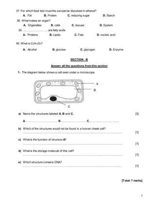 Bio grade 8 copy | DOCX | Chemistry | Science