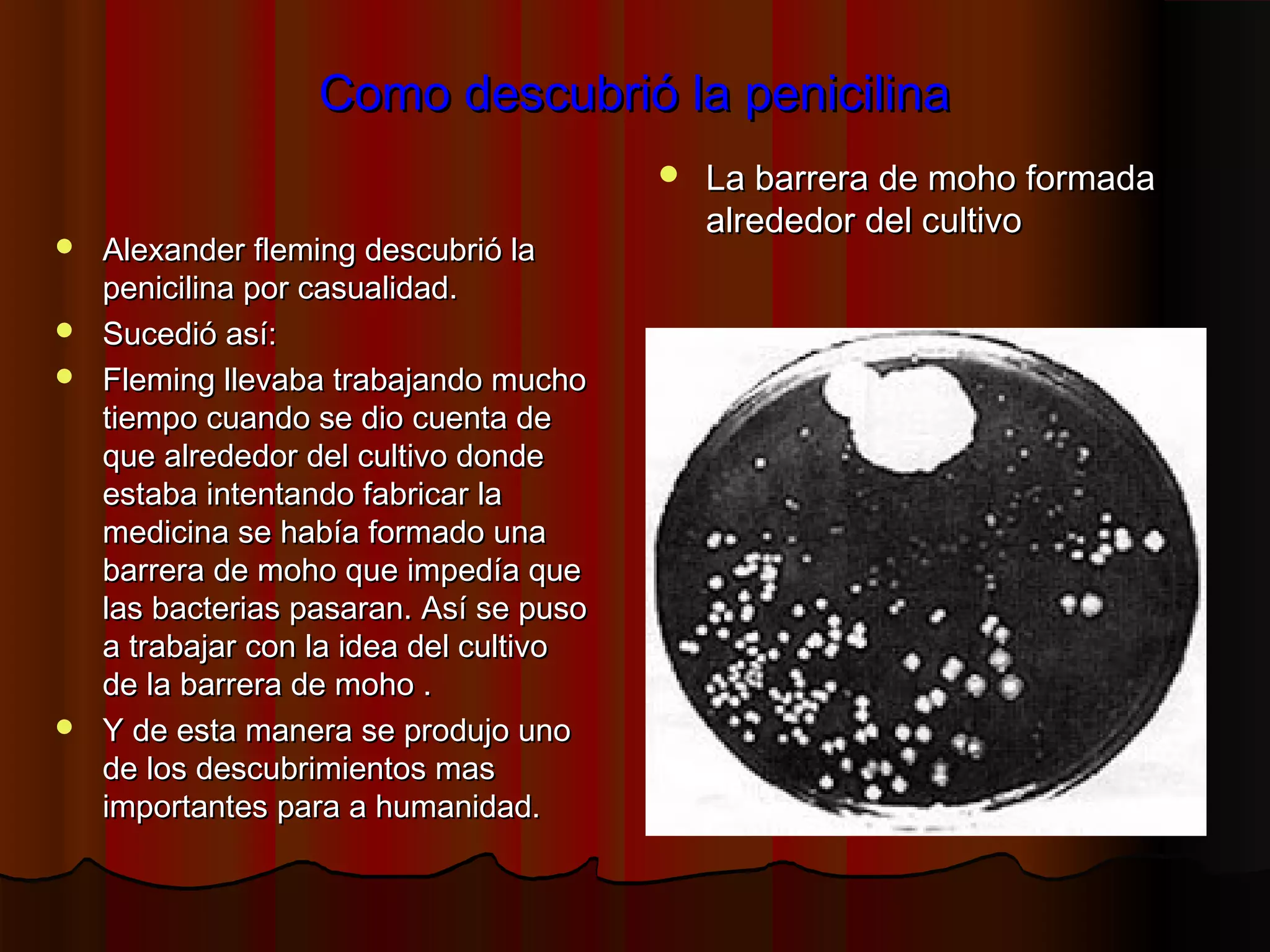 Biografia de Alexander Fleming | PPT | Chemistry | Science