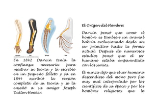 Biografia Charles Darwin | PDF