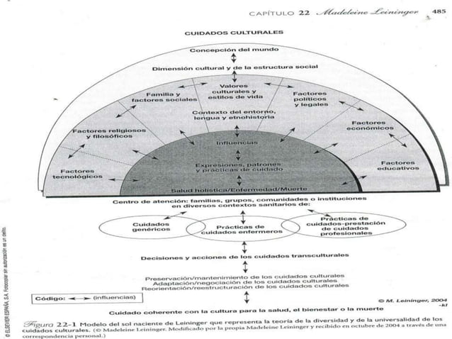 Biografia y teoria de leininger epistemologia | PPTX