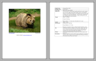 Biogram of wild_carnivores of Pakistan | PPT