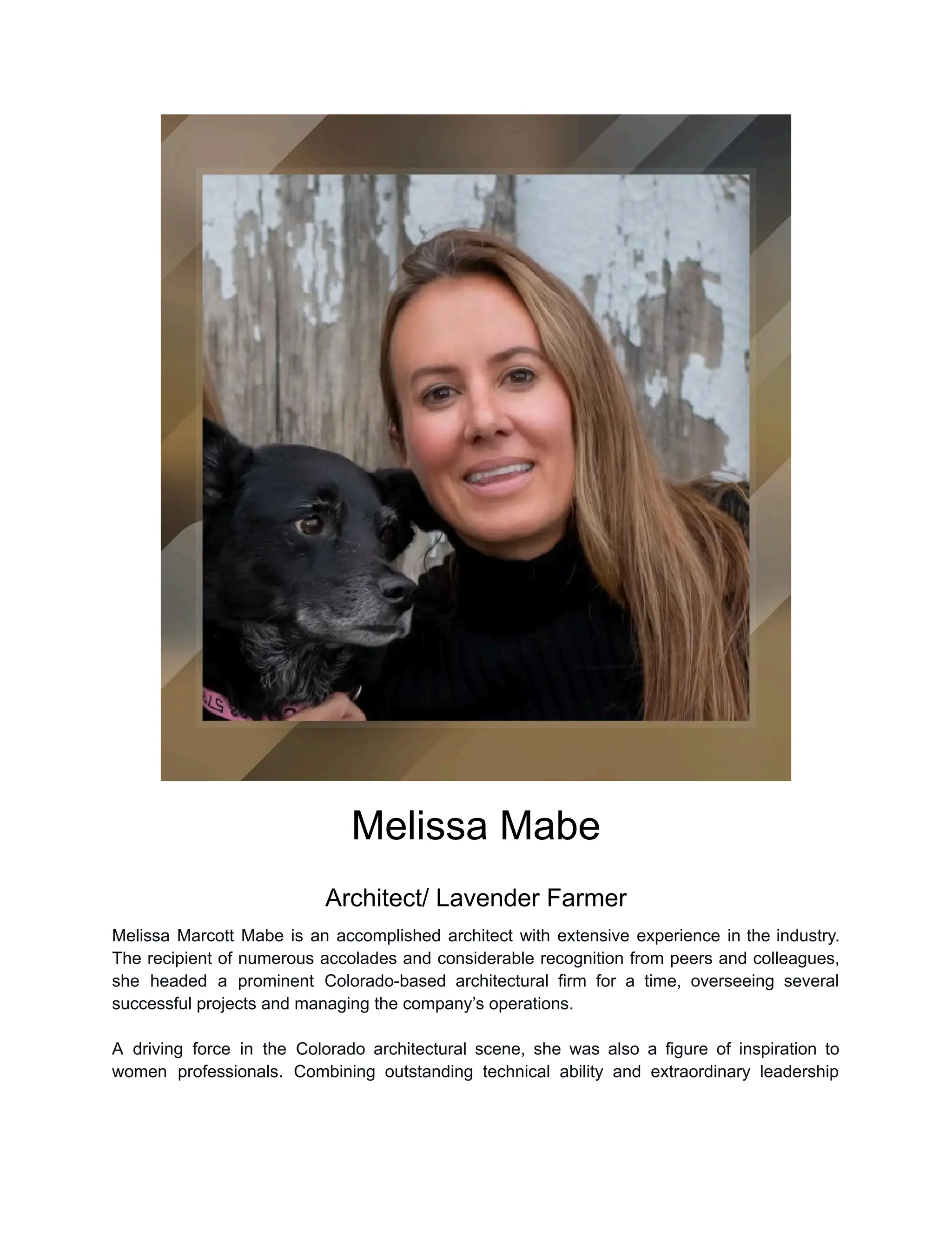 Biography and Professional Career of Melissa Mabe.pdf