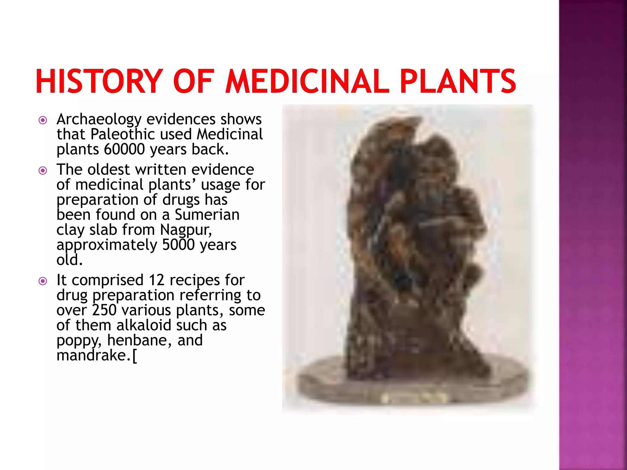 Biography of medicinal plants A Lecture by Mr Allah Dad Khan Former DG ...