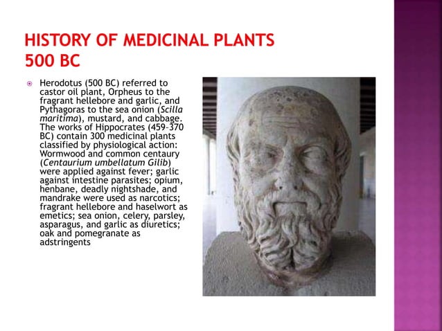 Biography of medicinal plants A Lecture by Mr Allah Dad Khan Former DG ...