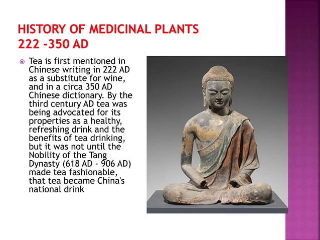 Biography of medicinal plants A Lecture by Mr Allah Dad Khan Former DG ...