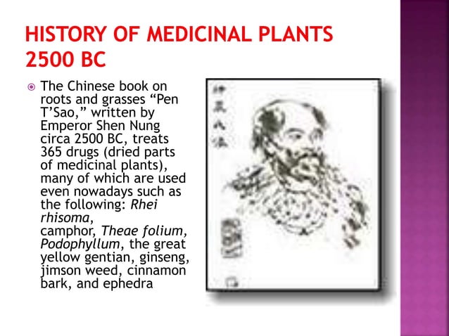 Biography of medicinal plants A Lecture by Mr Allah Dad Khan Former DG ...