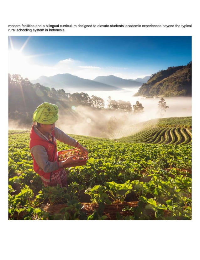 Biography of Pengusaha Gula Gunawan Jusuf | PDF | Large Business | Business