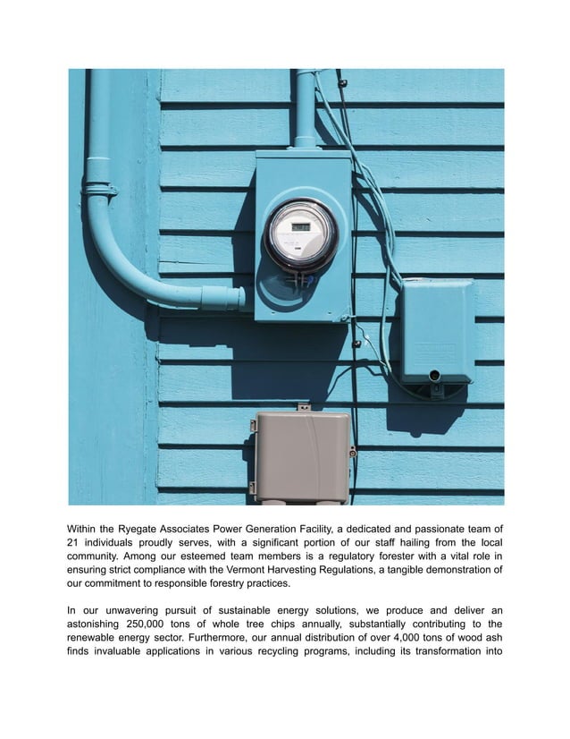 Biography of Ryegate Associates.pdf
