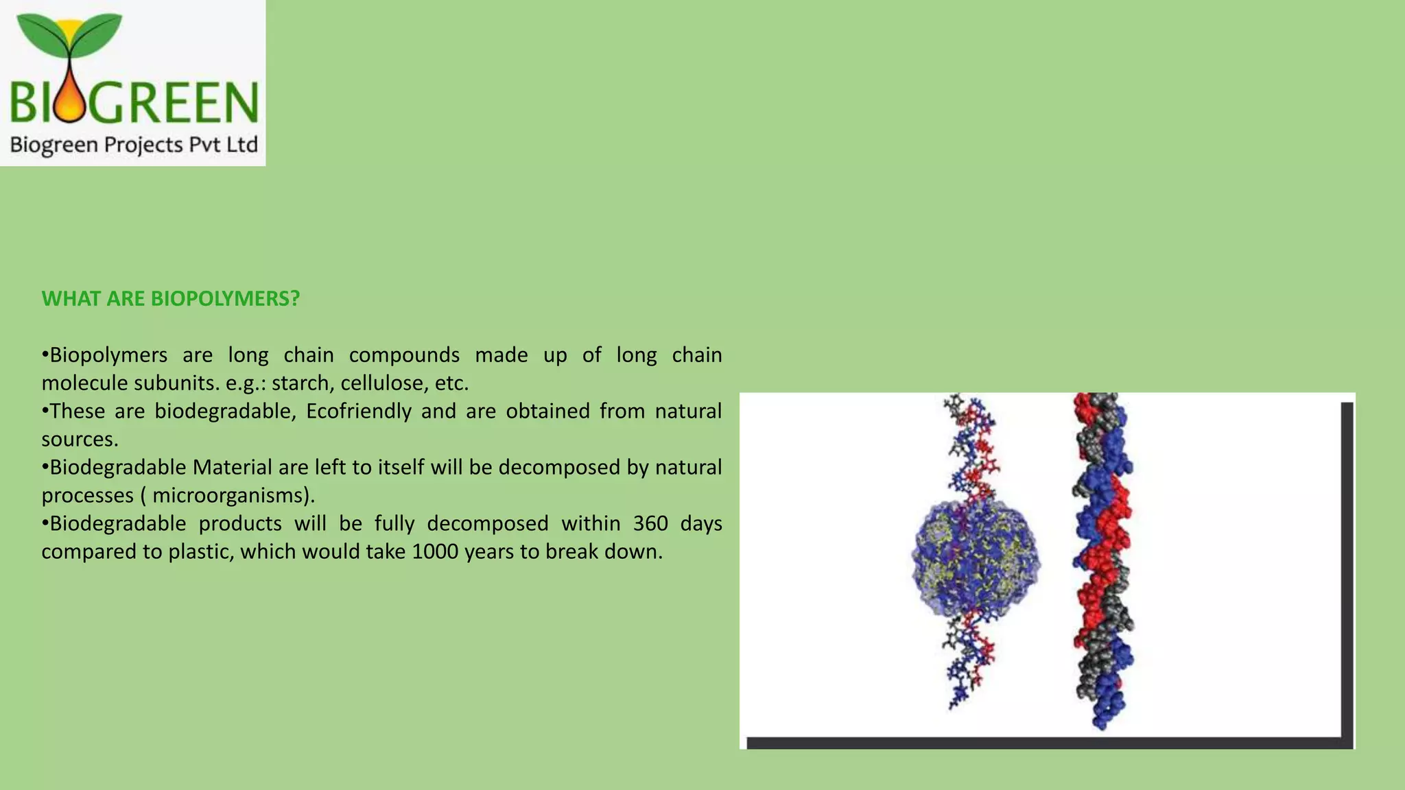 Biogreen Bioplastic.pptx