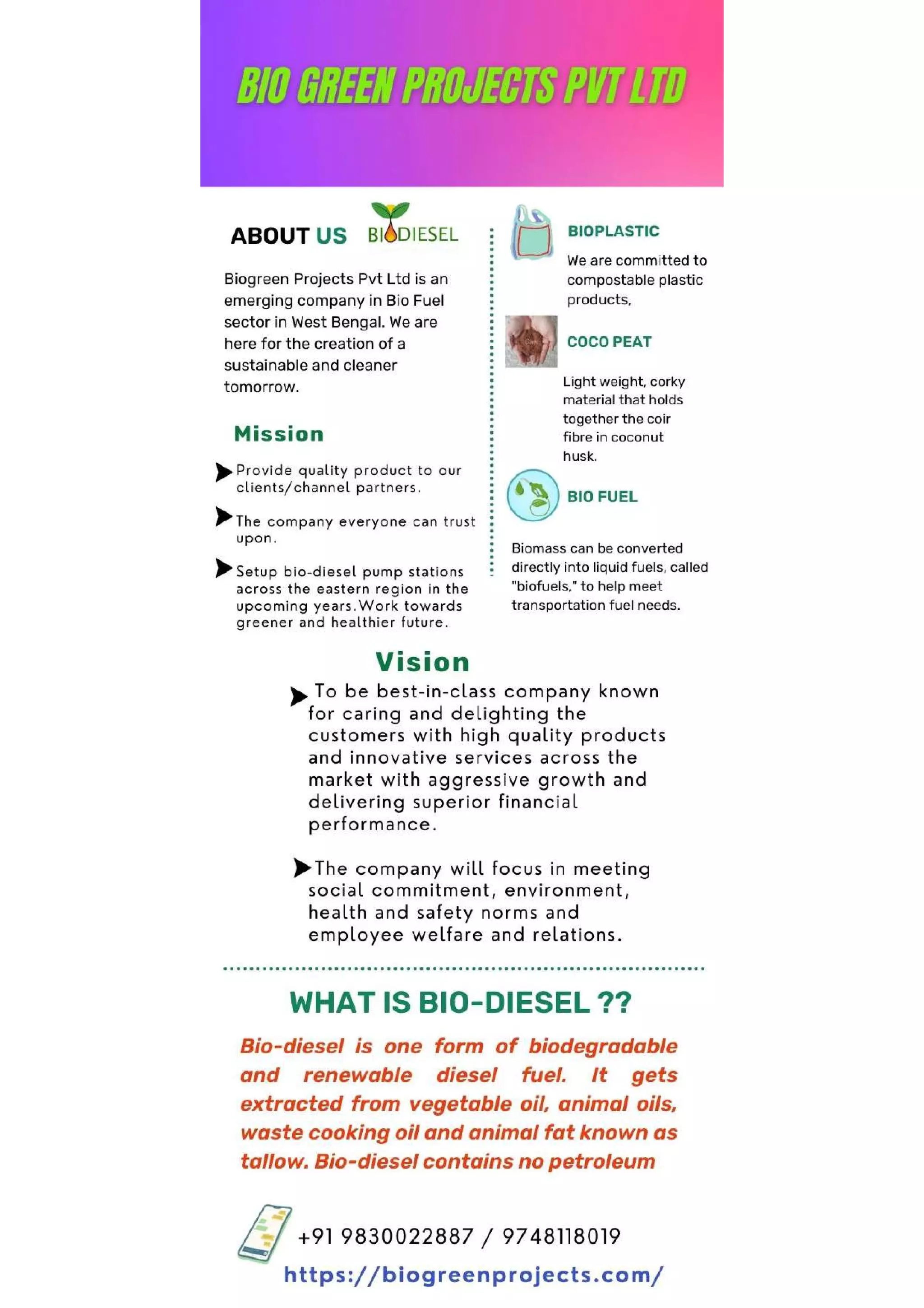 Biogreen infographic | PDF