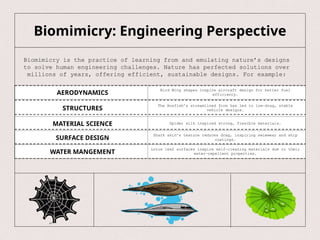 biomimicry of grp 12 asdadsadsadasdsdsdsdsd | PPT
