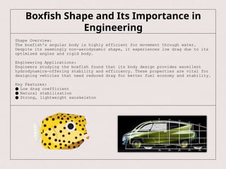 biomimicry of grp 12 asdadsadsadasdsdsdsdsd | PPTX