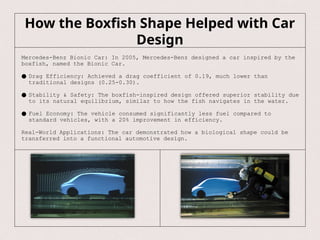 biomimicry of grp 12 asdadsadsadasdsdsdsdsd | PPT