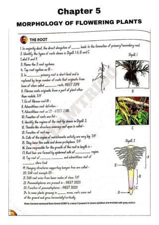 Biohack- class 11 and 12 NEET Parth Goyal | PDF