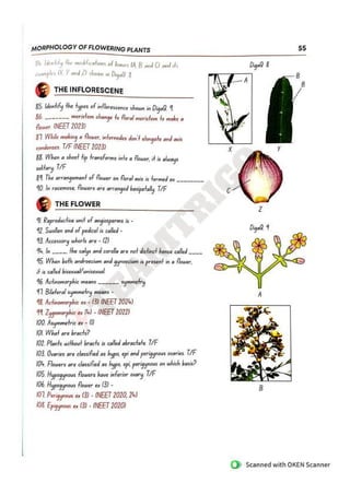 Biohack- class 11 and 12 NEET Parth Goyal | PDF