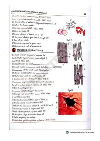 Biohack- class 11 and 12 NEET Parth Goyal | PDF