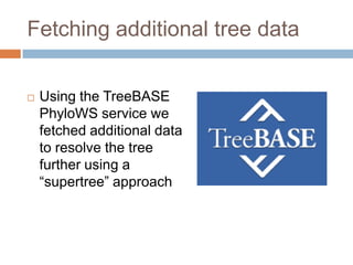 Tree of Life | PPTX | Biological Sciences | Science
