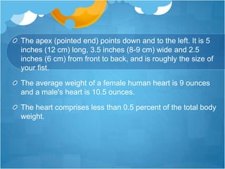 The Human Heart | PPT