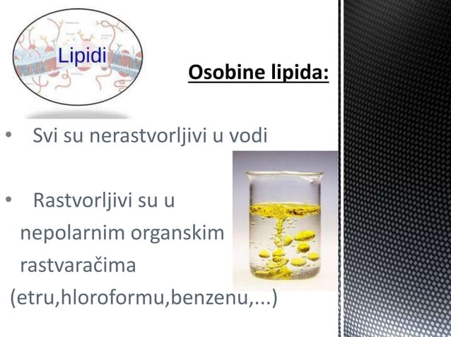 Lipidi | PPTX