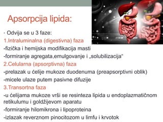 Metabolizam lipida | PPTX