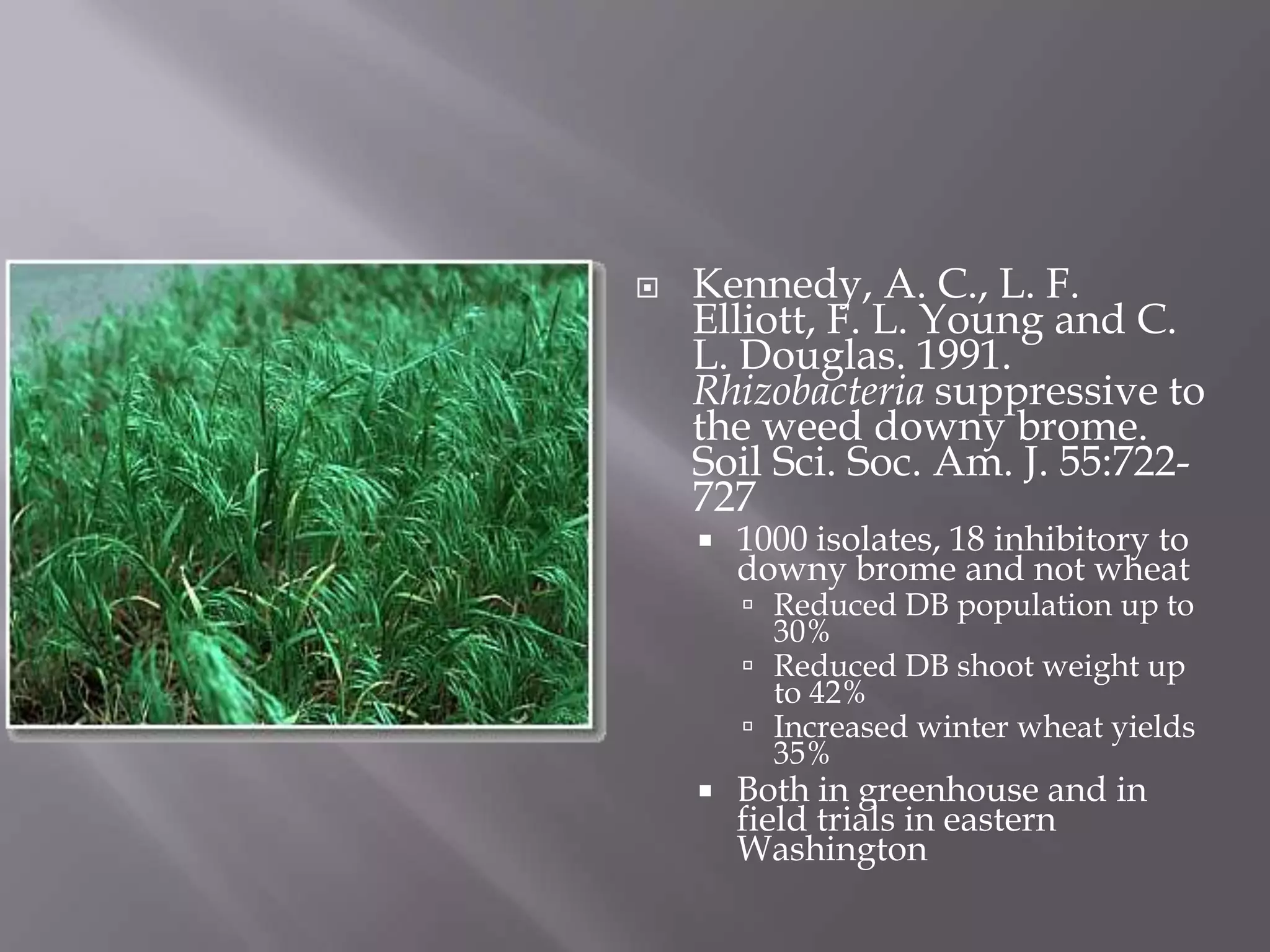 Bioherbicides | PPTX