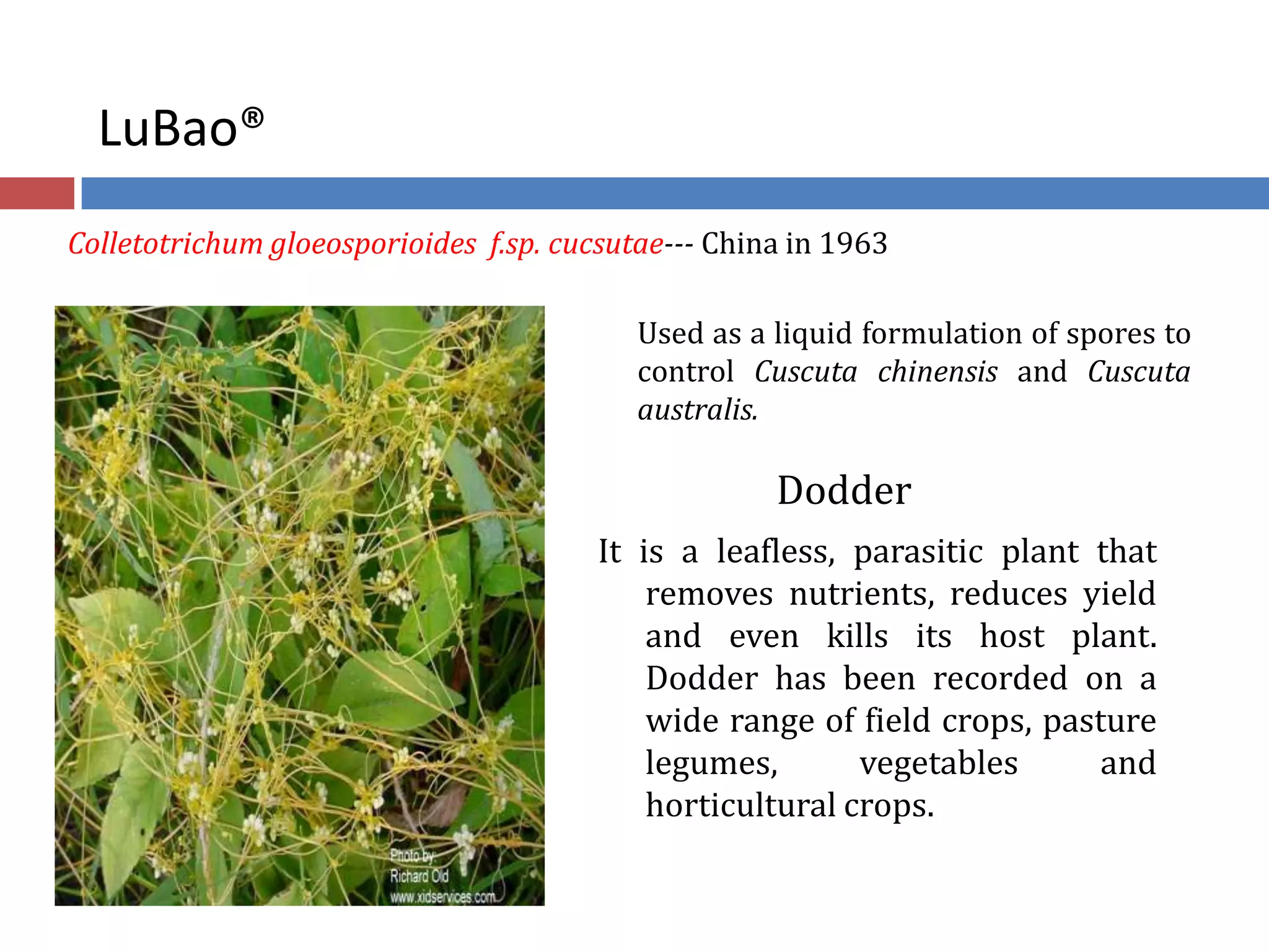 Bioherbicides | PPTX