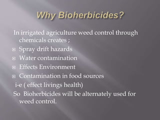 Bio herbicides | PPTX