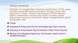 Bio Materi Hormon SMA | PPTX