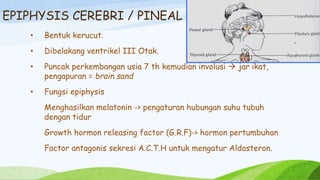 Bio Materi Hormon SMA | PPTX