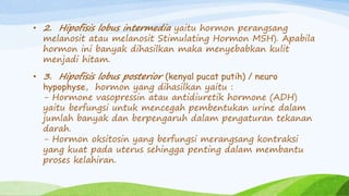 Bio Materi Hormon SMA | PPTX