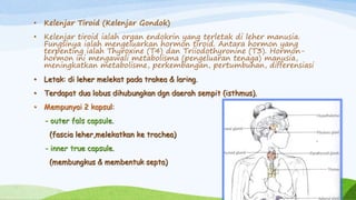 Bio Materi Hormon SMA | PPTX
