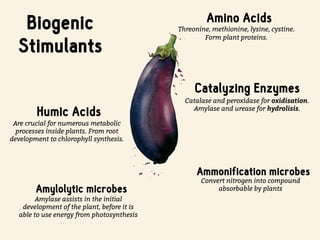Biohum | PDF