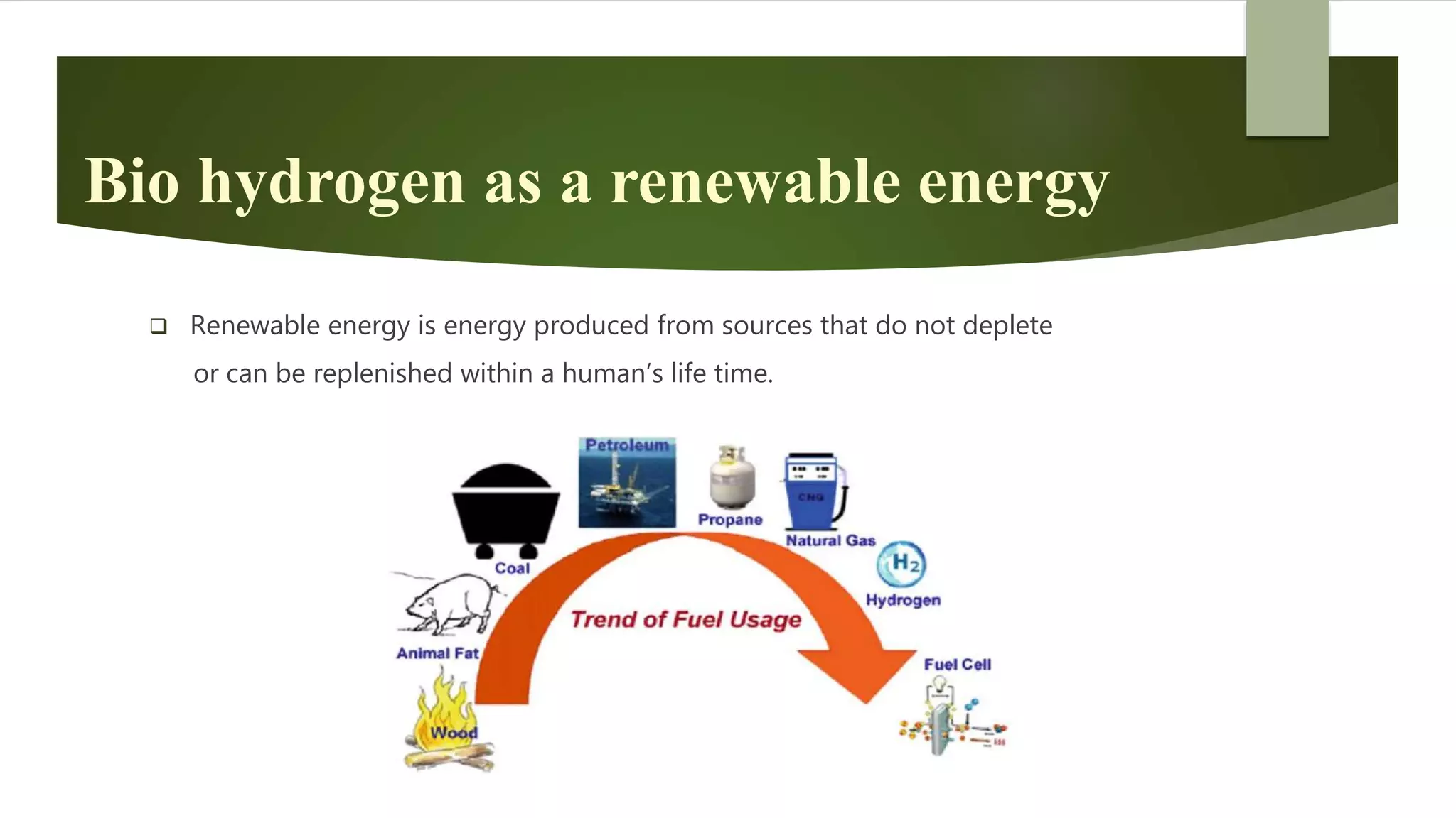 Biohydrogen as a fuel | PPTX | Chemistry | Science