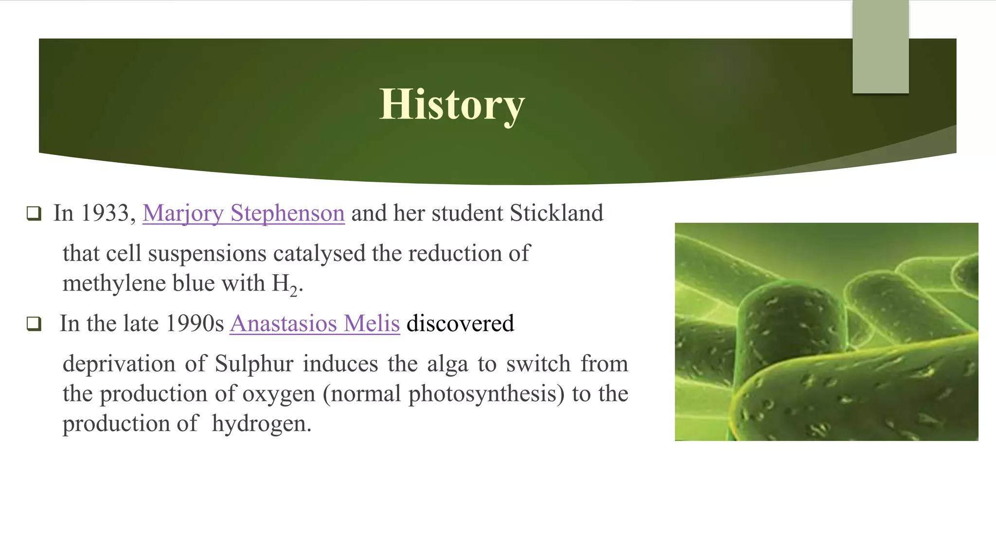 Biohydrogen as a fuel | PPTX