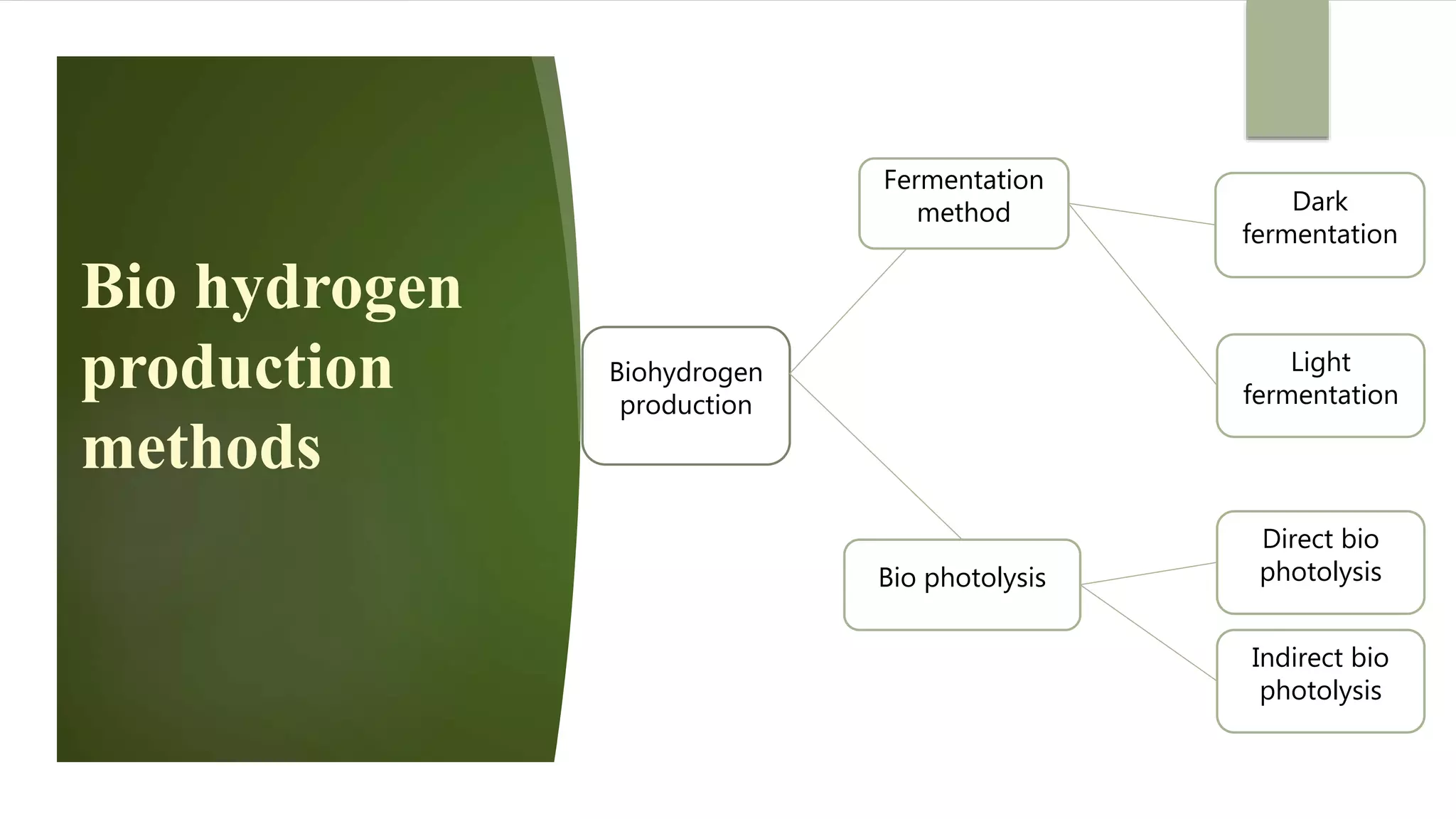 Biohydrogen as a fuel | PPTX | Chemistry | Science