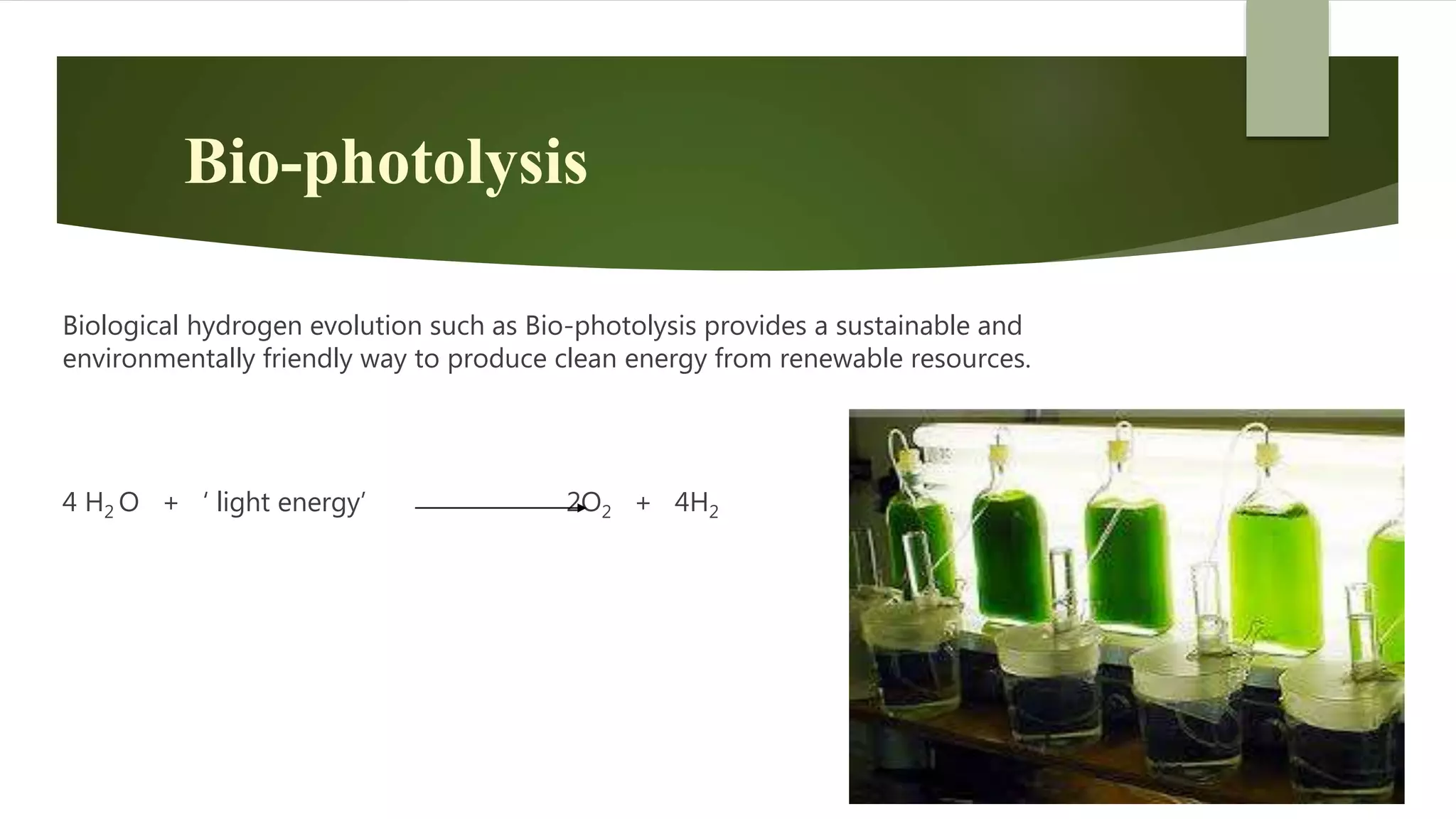 Biohydrogen as a fuel | PPTX