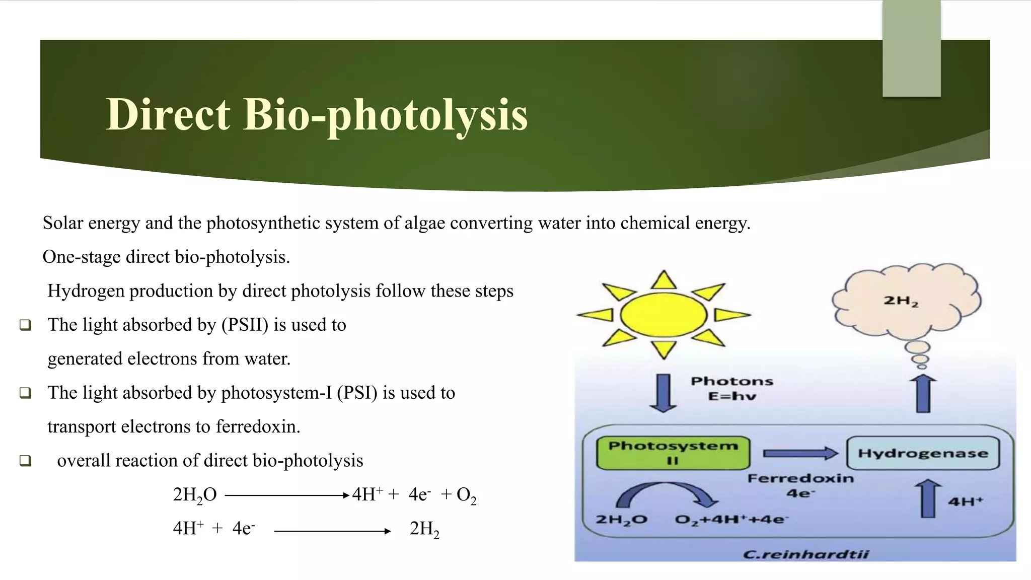 Biohydrogen as a fuel | PPTX