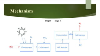 Biohydrogen as a fuel | PPTX